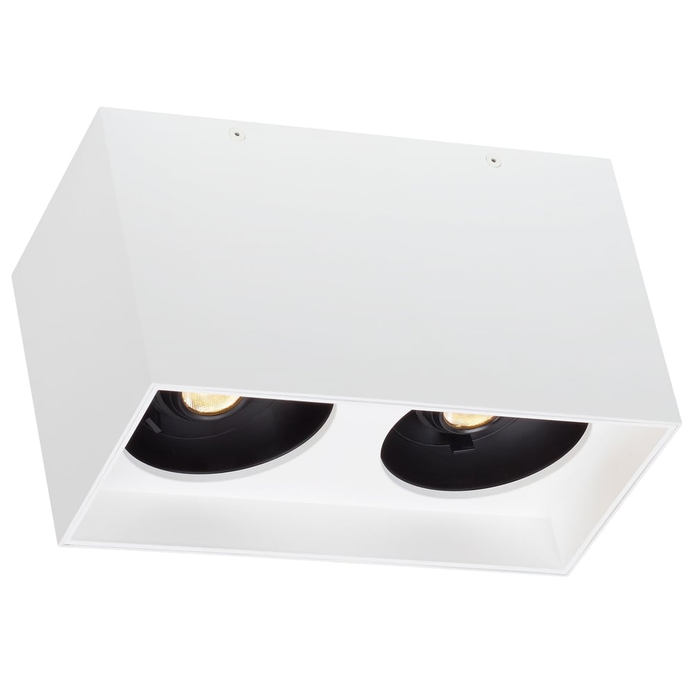 Visual Comfort Modern Exo Dual Ceiling Light | Lightopia