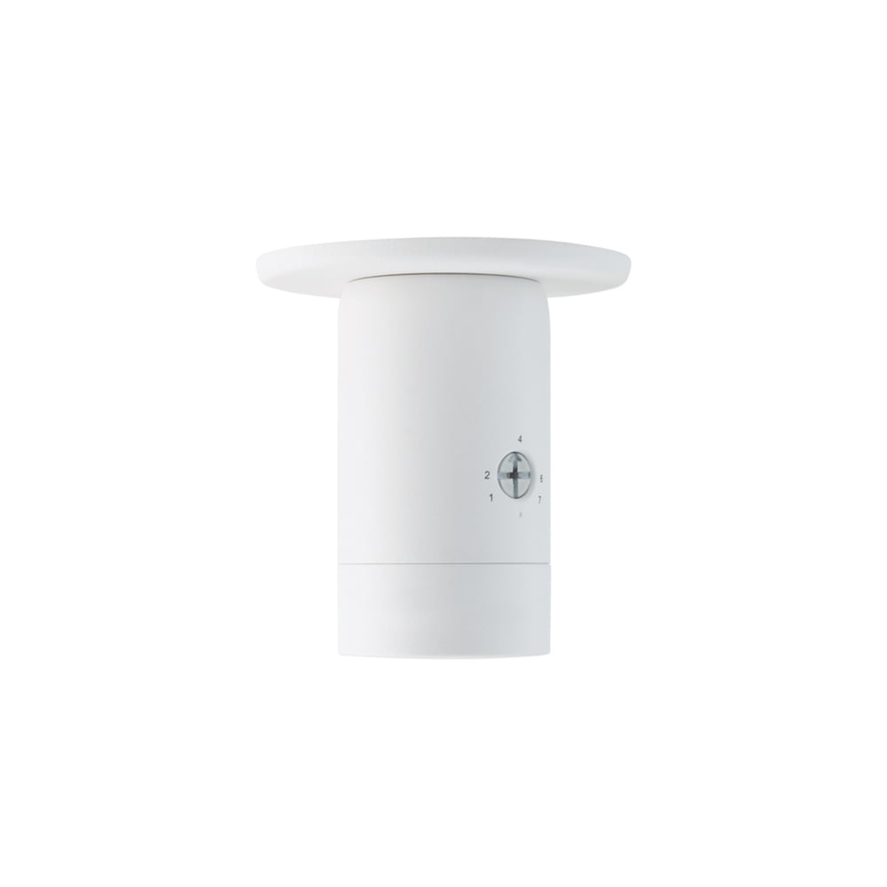 WAC Lighting Estrella LED Indoor or Outdoor 12V Monopoint | Lightopia