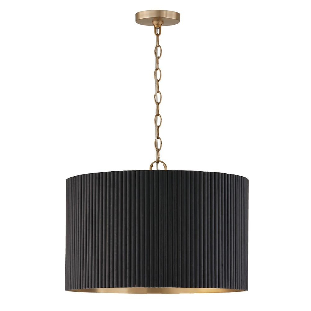 Capital Lighting Donovan Pendant | Lightopia