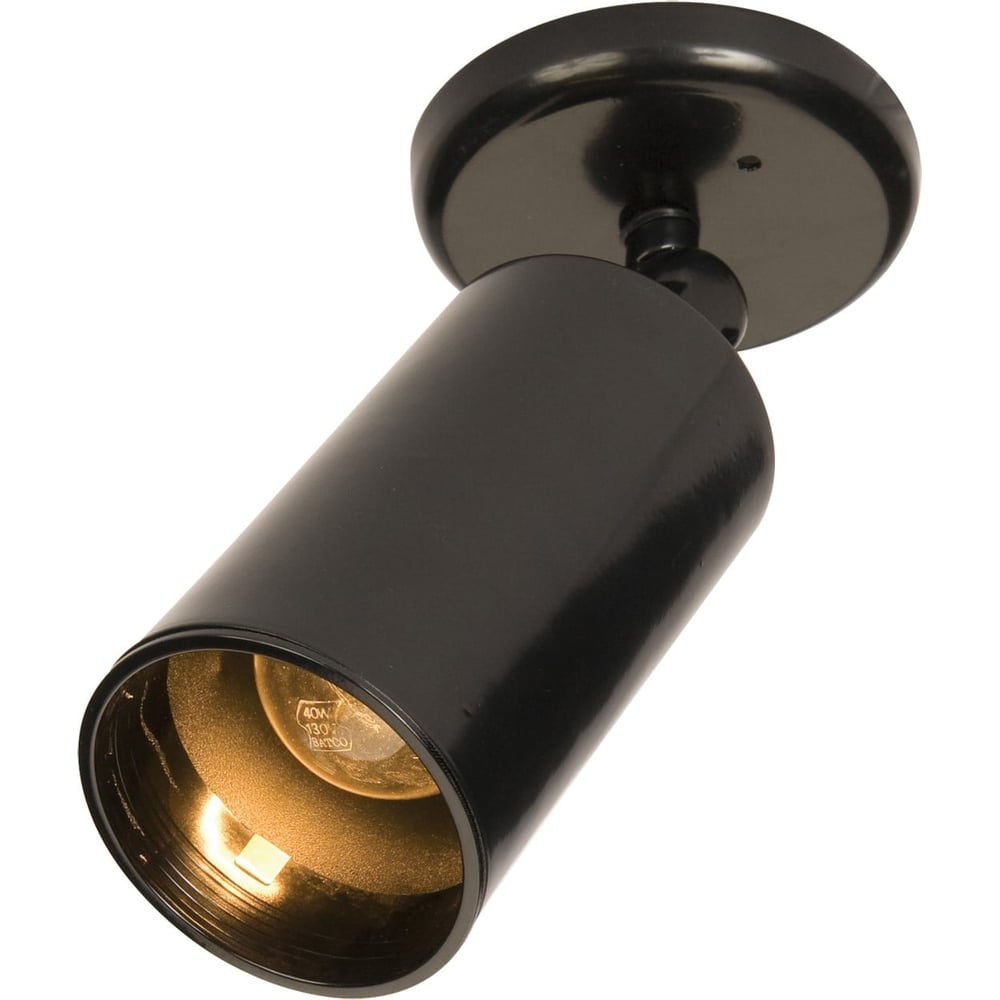 Maxim Lighting Spots Single Adjustable Spot Light | Lightopia
