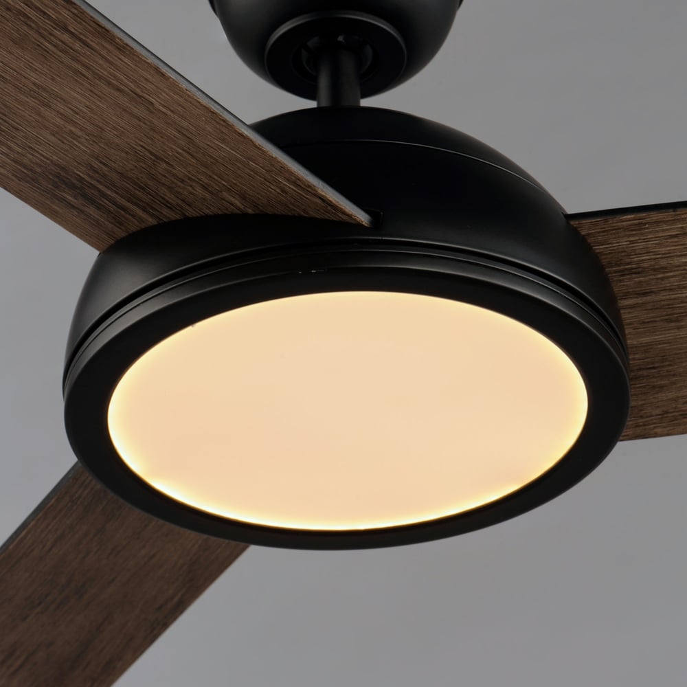Maxim Lighting Cupola LED Fan | Lightopia