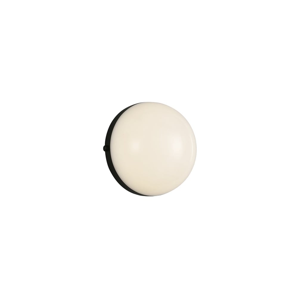 Alora Lighting Globo Wall/Ceiling Light | Lightopia