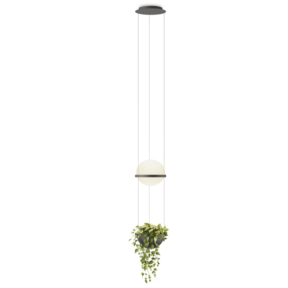 Vibia Palma Pendant with Planter | Lightopia