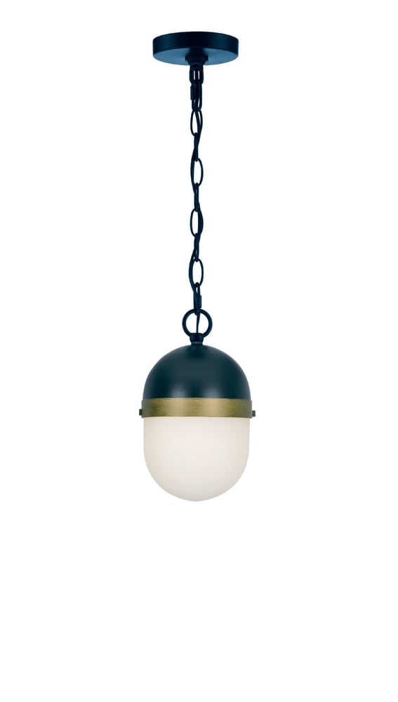 Crystorama Capsule Outdoor Pendant | Lightopia
