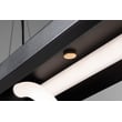Moooi Tubelight Linear Suspension | Lightopia
