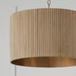Capital Lighting Donovan Pendant | Lightopia