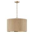 Capital Lighting Donovan Pendant | Lightopia