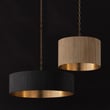 Capital Lighting Donovan Pendant | Lightopia