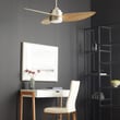 Quorum Trinity Ceiling Fan with Light | Lightopia