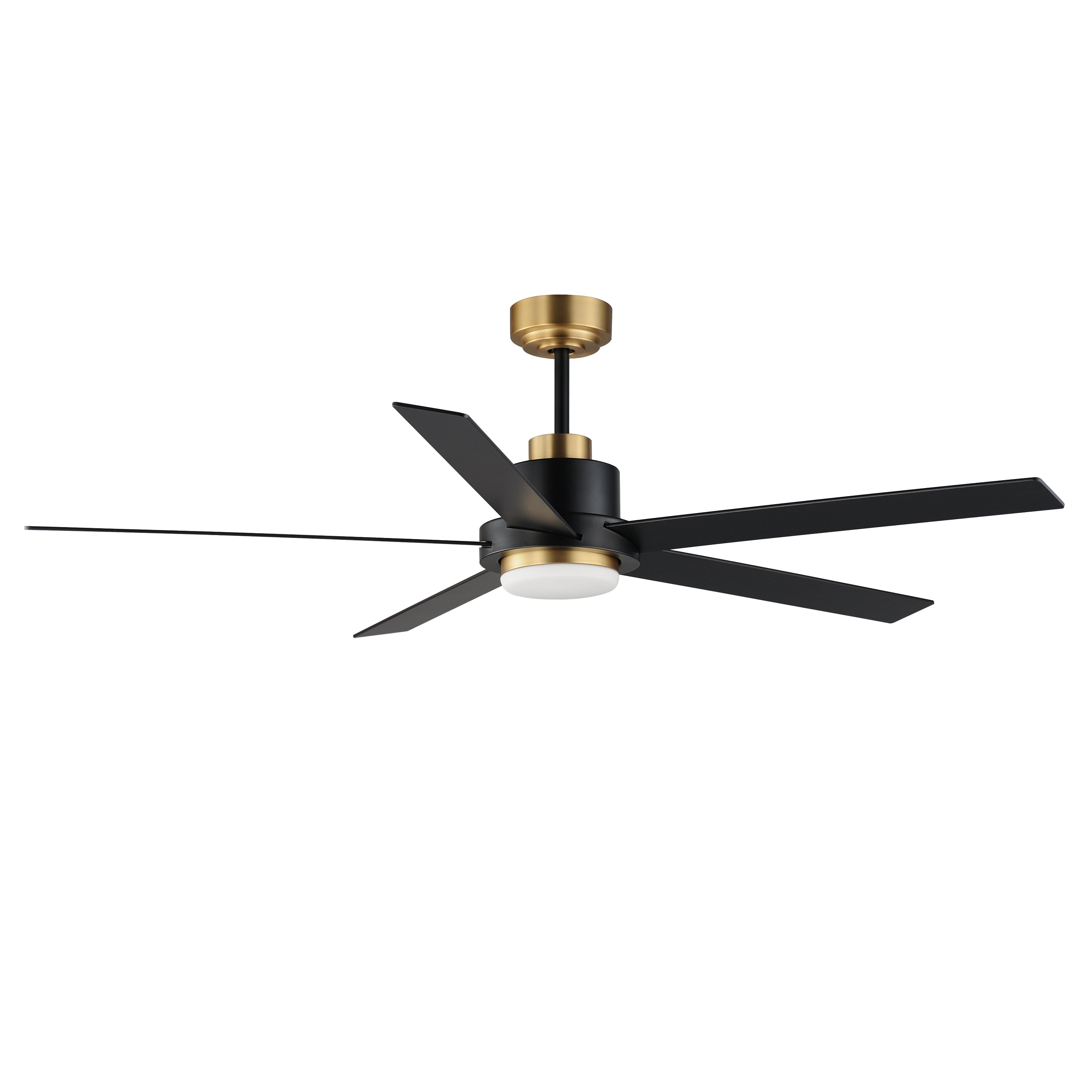 Maxim Lighting Daisy Ceiling Fan with Light | Lightopia