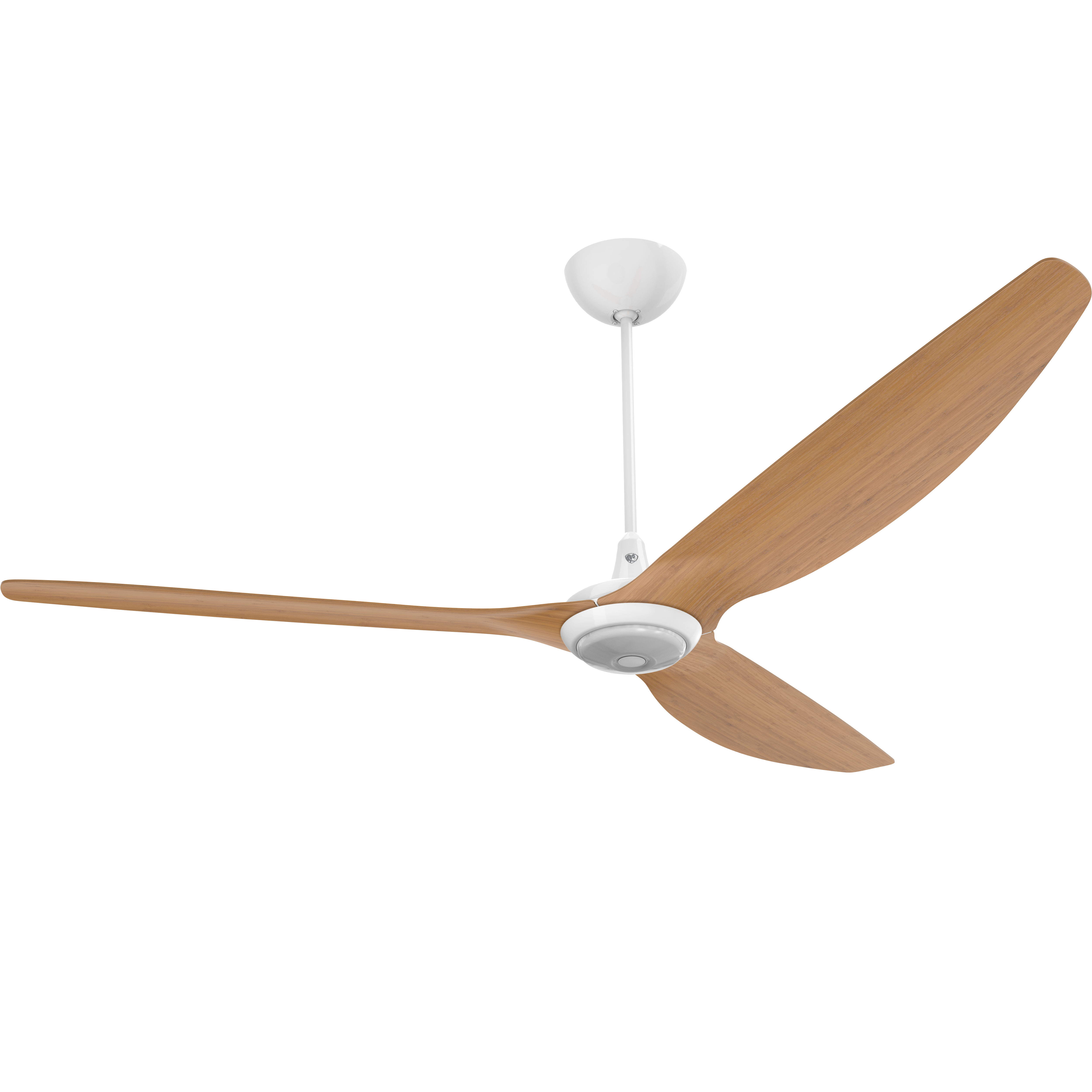 Modern Fans | Lightopia