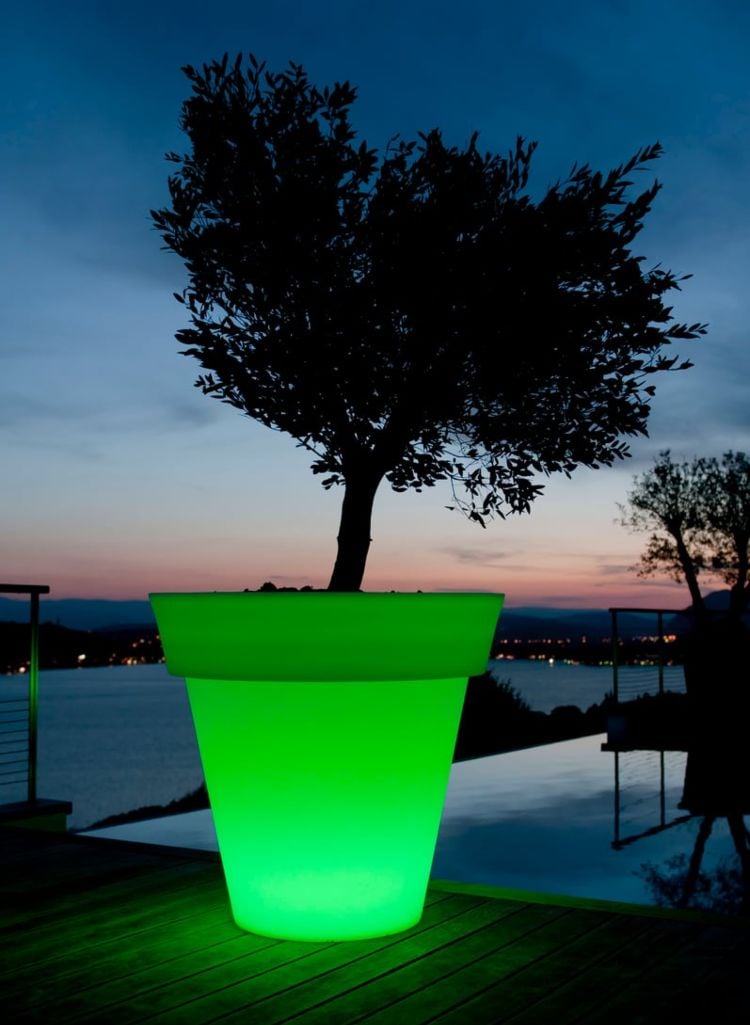 20 Outdoor Tree Lighting Ideas | Lightopia
