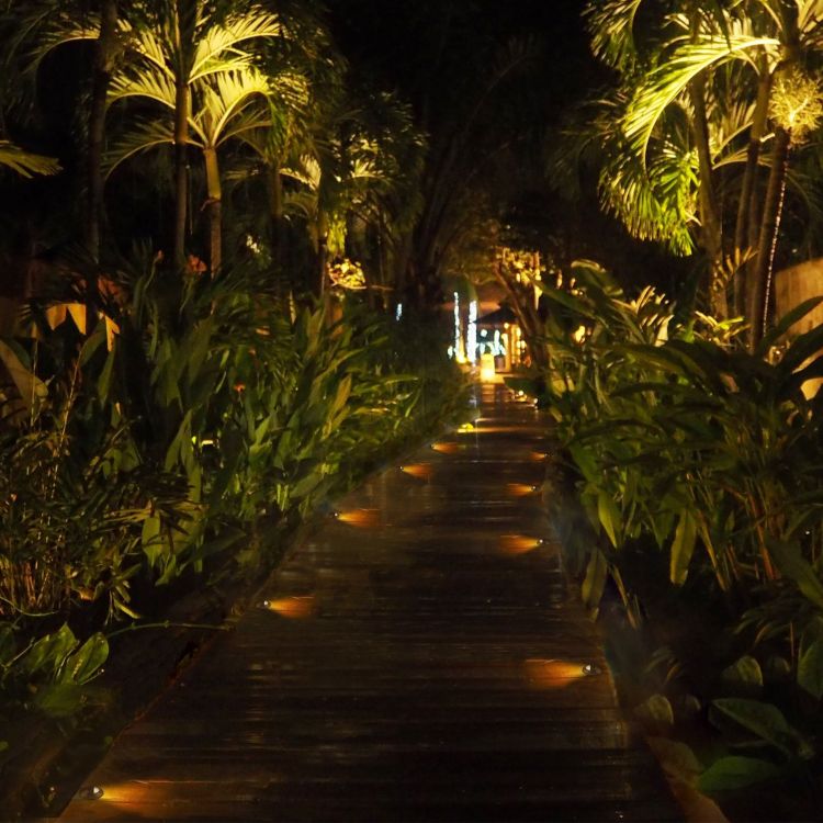 20 Outdoor Tree Lighting Ideas | Lightopia