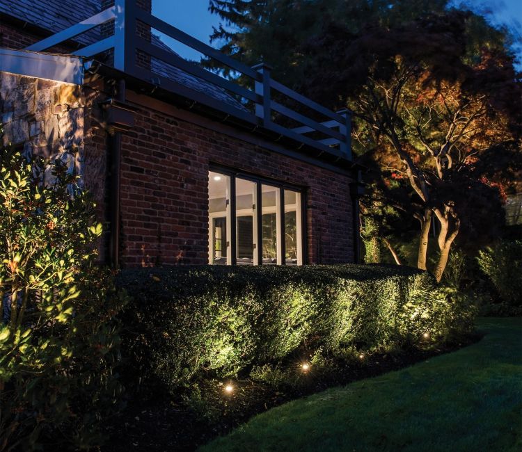 20 Outdoor Tree Lighting Ideas | Lightopia