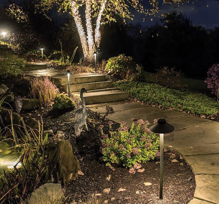 20 Outdoor Tree Lighting Ideas | Lightopia